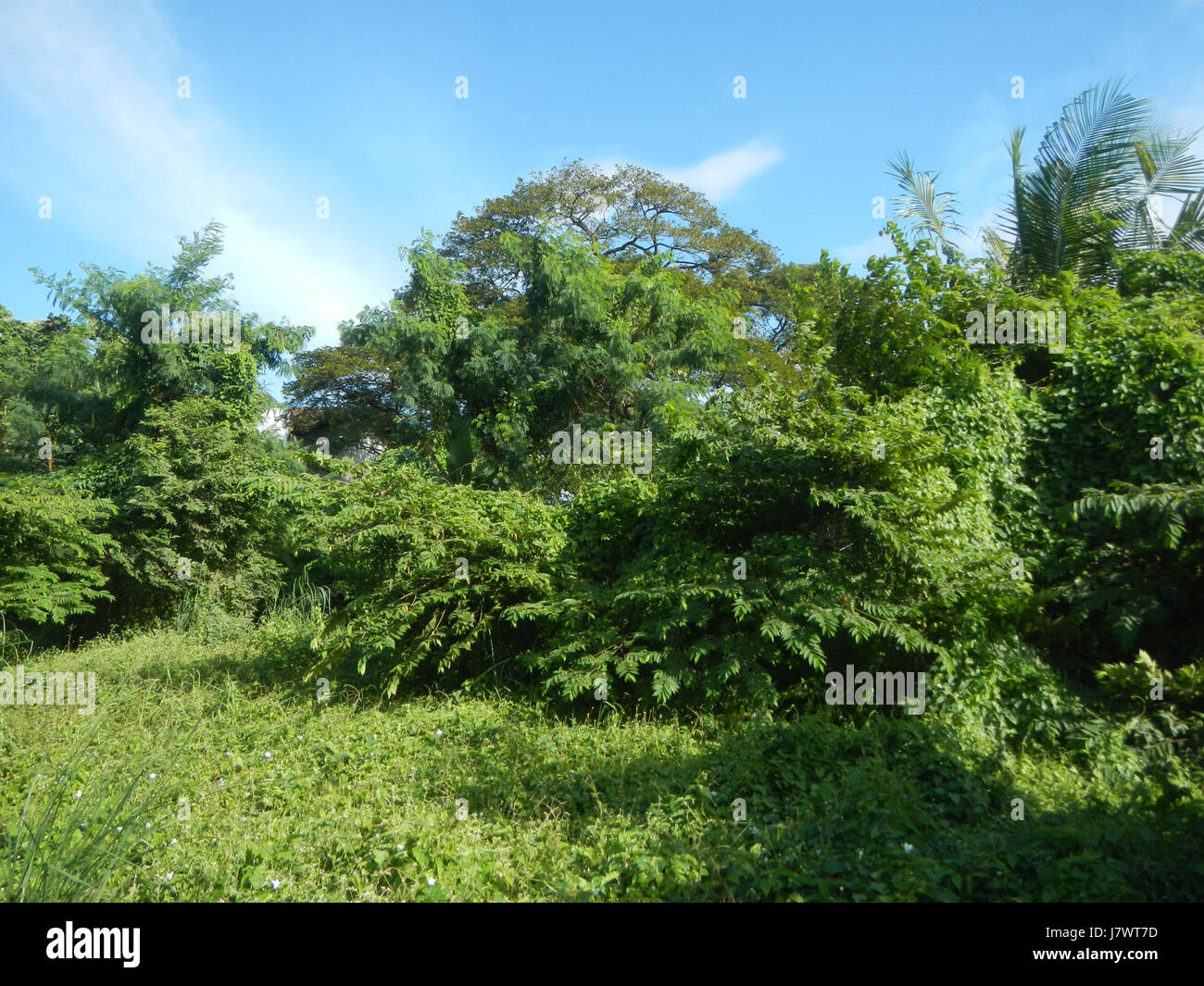 This image captures the Santa Maria Bulacan Bridge, located at the ...