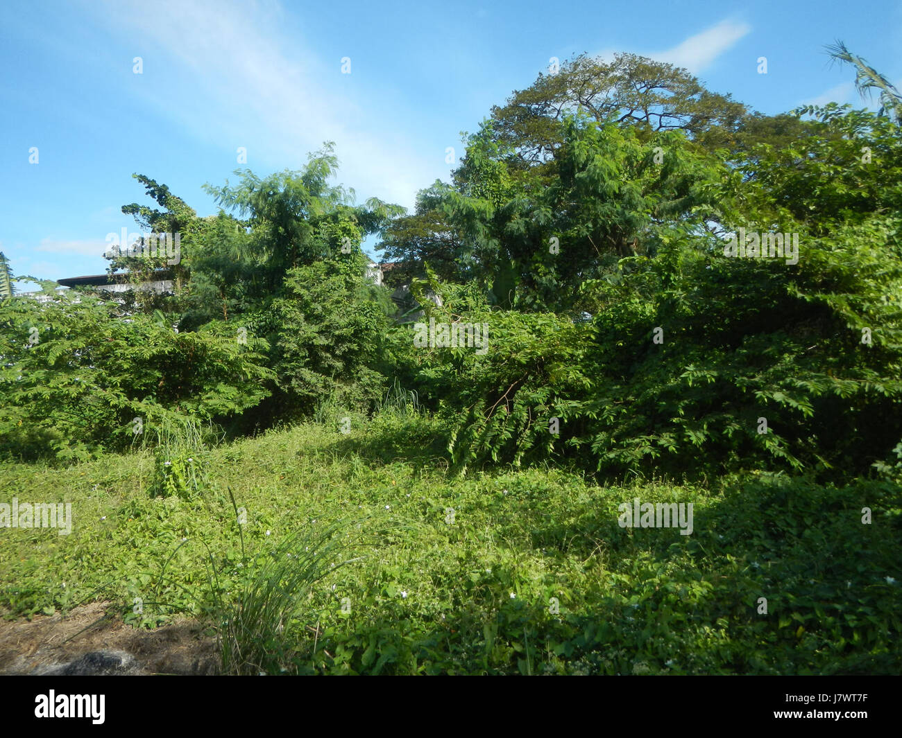 This reference is to a bridge in Santa Maria, Bulacan, Philippines ...