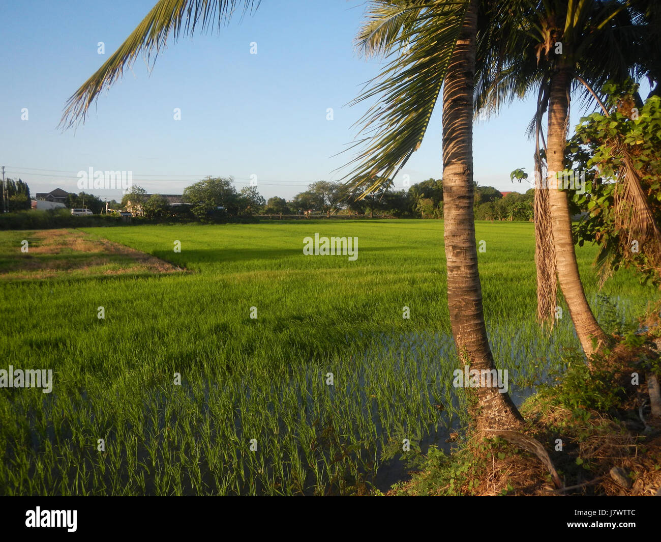This image shows the landscape in Sabang, Baliuag, Bulacan, featuring ...