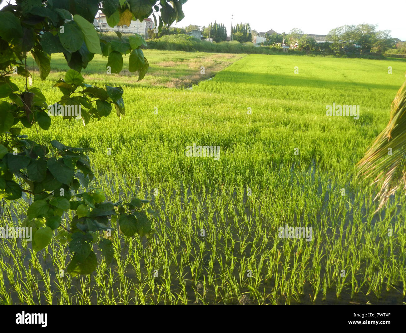 This image depicts the landscape of Sabang, Baliuag, and Bulacan ...