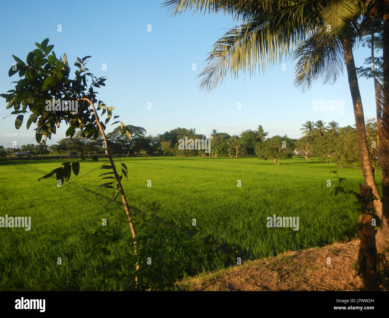 This photograph showcases the landscape of Sabang, Baliuag, Bulacan in ...