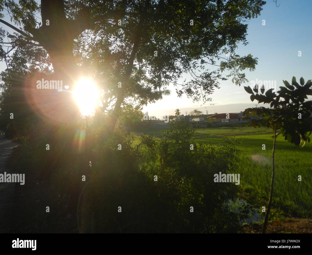 09992 Paddy fields, grasslands, trees, houses irrigation Sabang ...