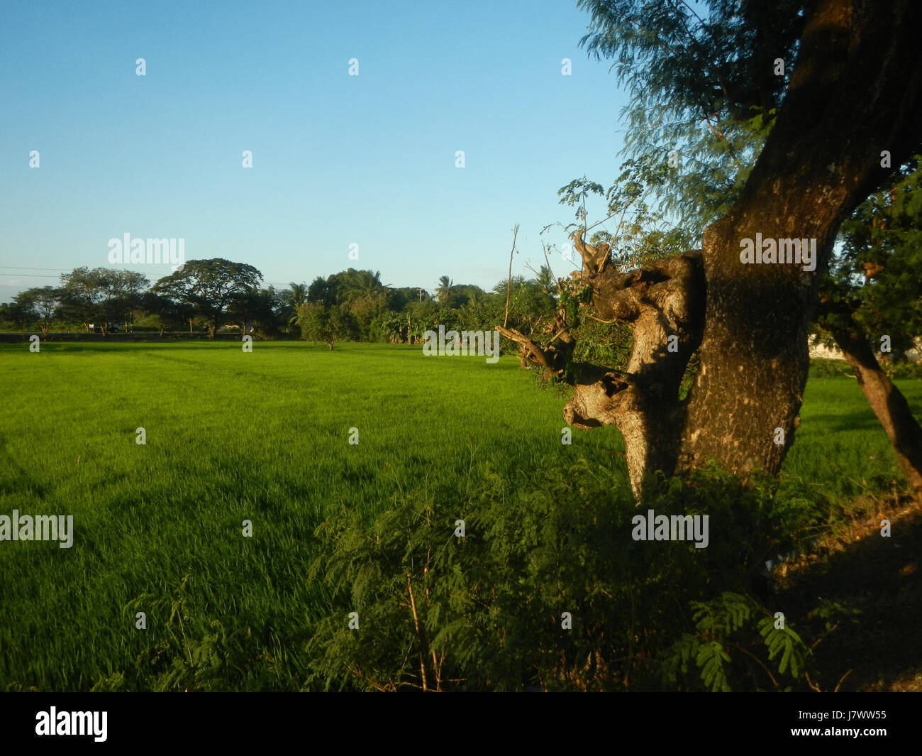 A view of the rural landscape in Sabang, Baliuag, Bulacan, Philippines ...