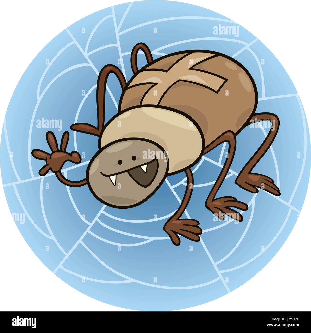 insect cross spider illustration funny bug cartoon comics laugh laughs ...