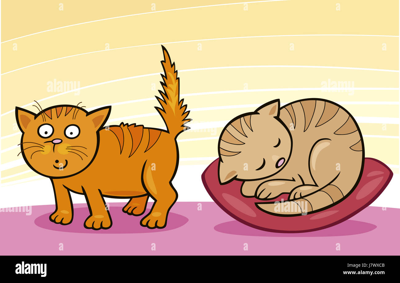 pet small tiny little short illustration cat baby kitten cartoon ...