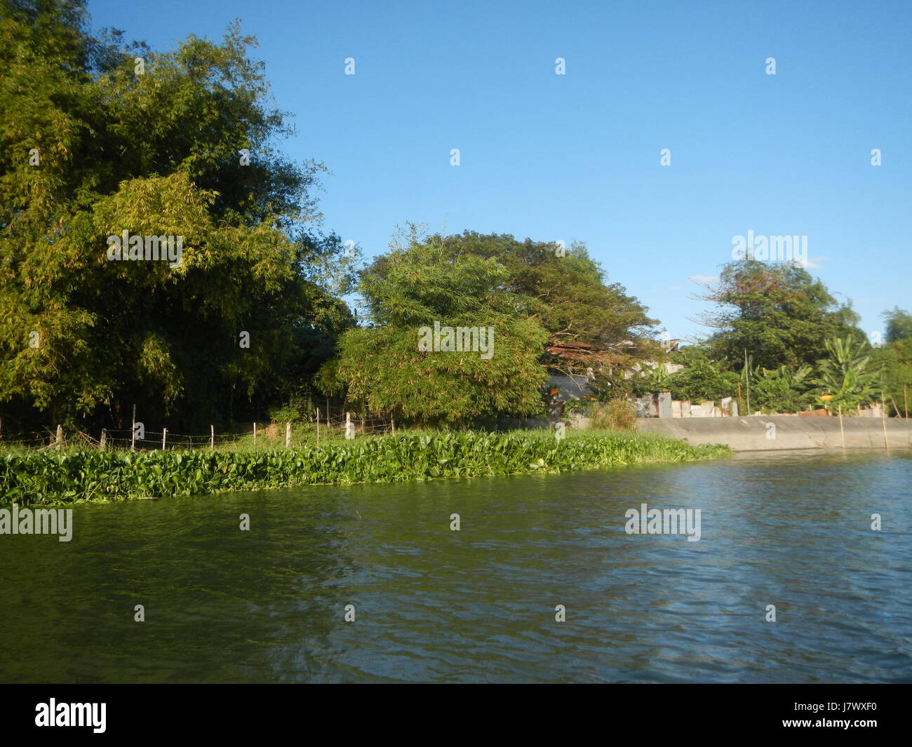 09923 Pulilan Plaridel Trees Riverbanks Riprap construction Bulacan 05 ...