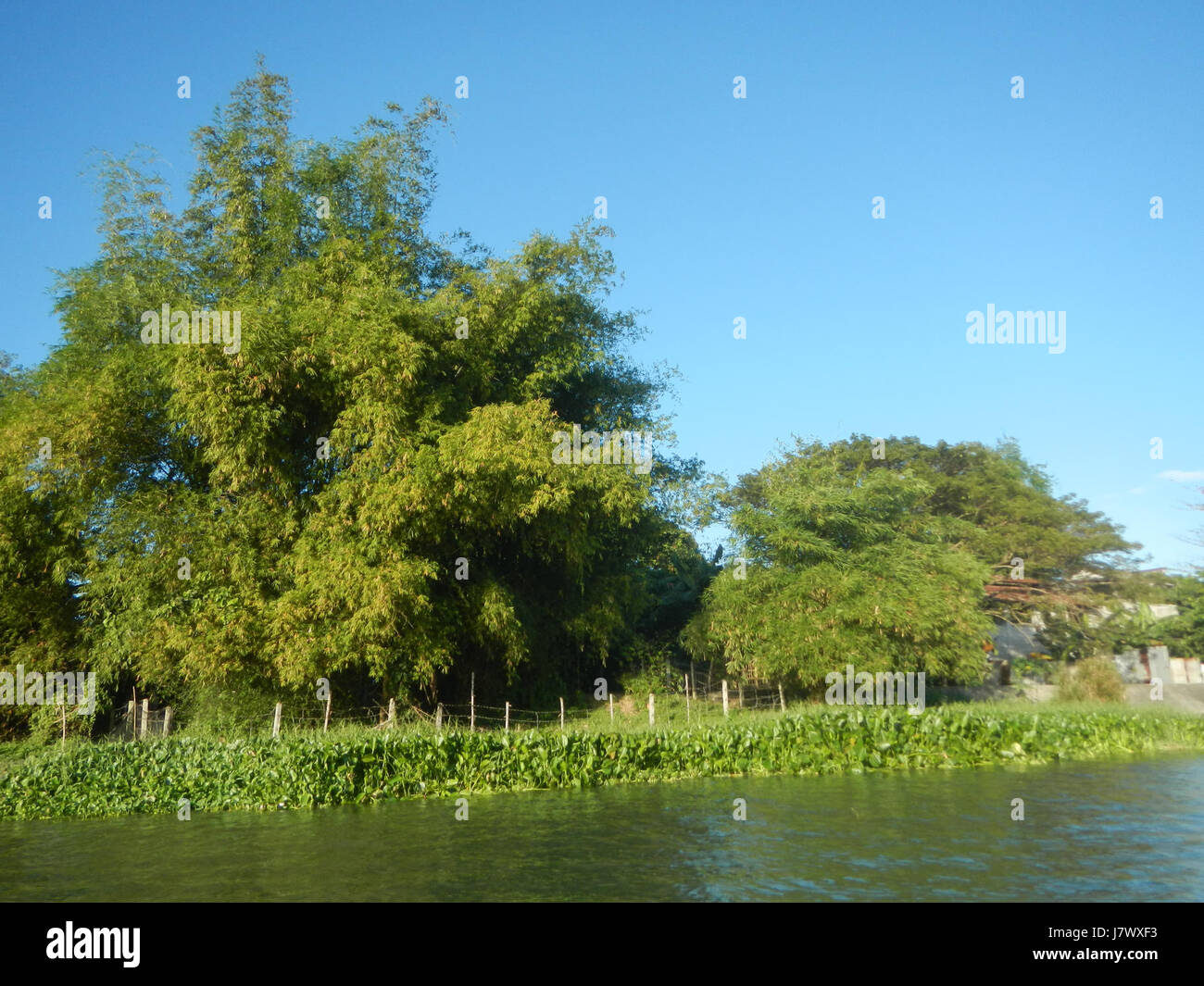 09923 Pulilan Plaridel Trees Riverbanks Riprap construction Bulacan 06 ...