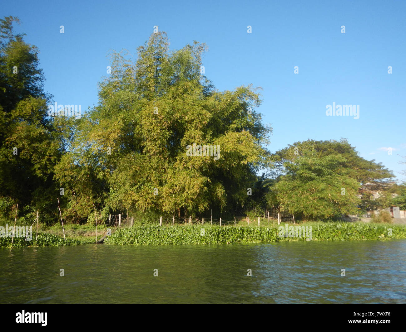 09923 Pulilan Plaridel Trees Riverbanks Riprap construction Bulacan 08 ...