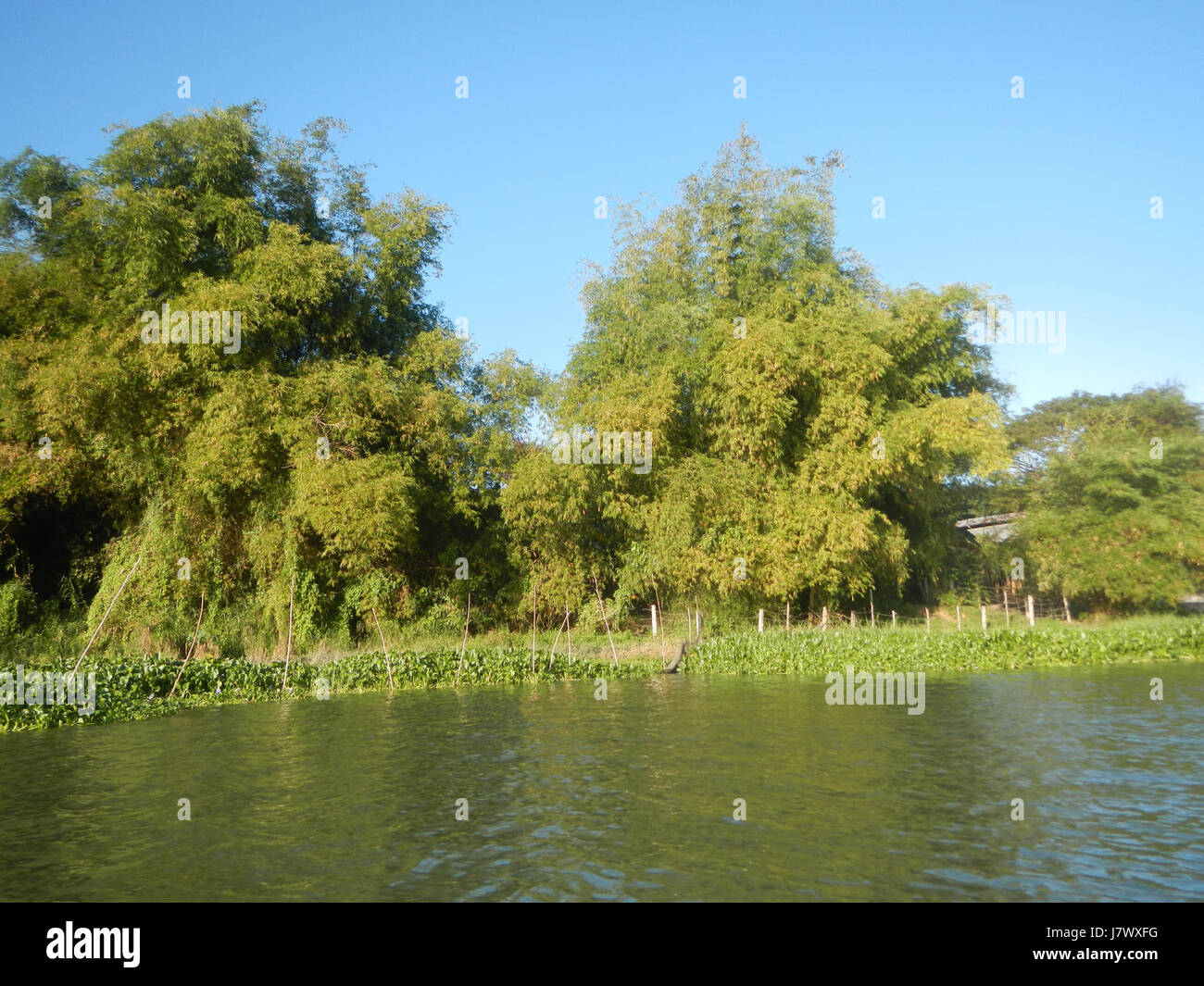 This site in Pulilan, Plaridel, Bulacan, features trees, riverbanks ...