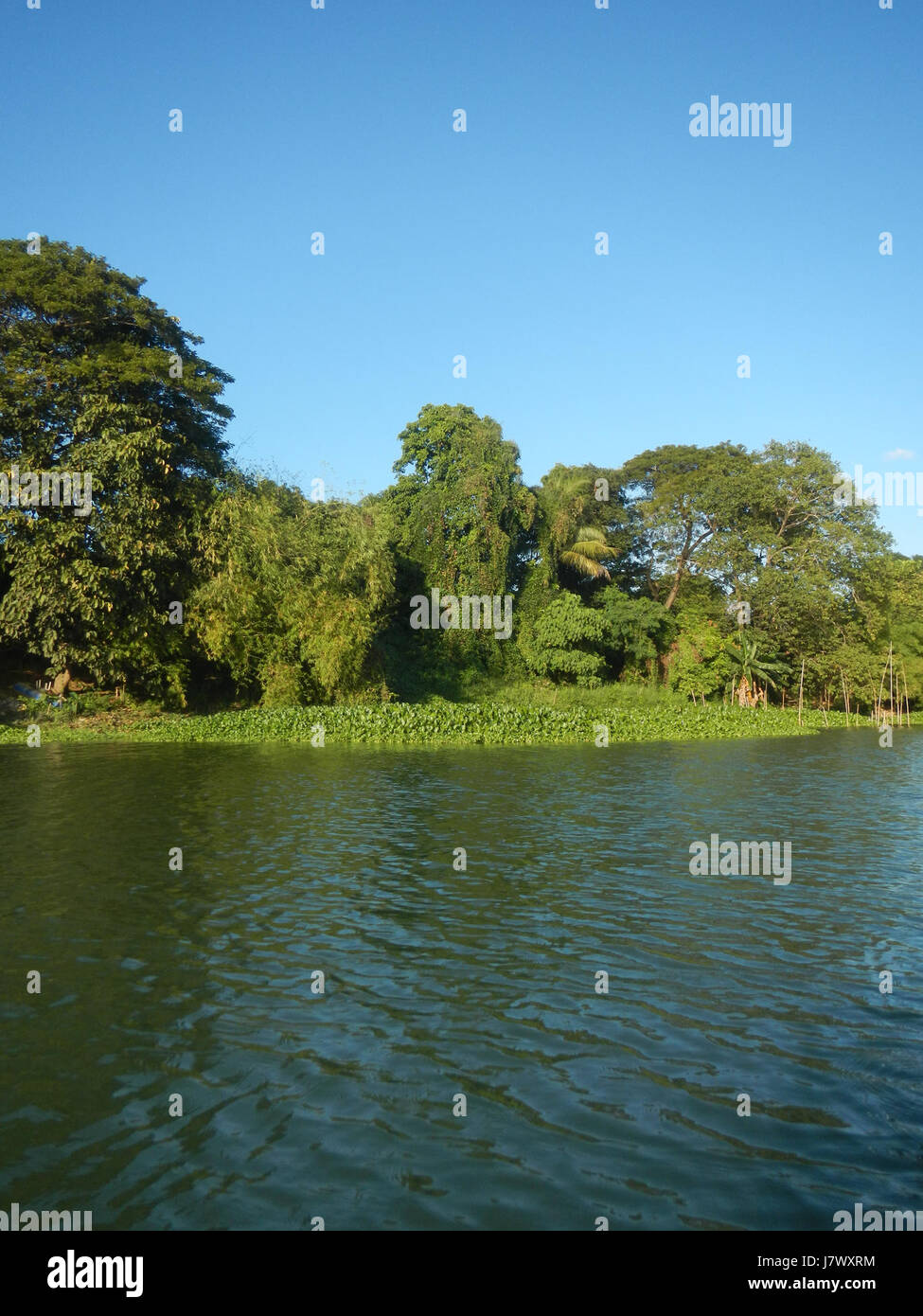 This image showcases the riprap construction along the riverbanks in ...