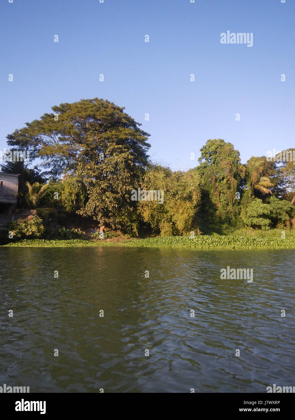 09963 Pulilan Plaridel Trees Riverbanks Riprap construction Bulacan 36 ...