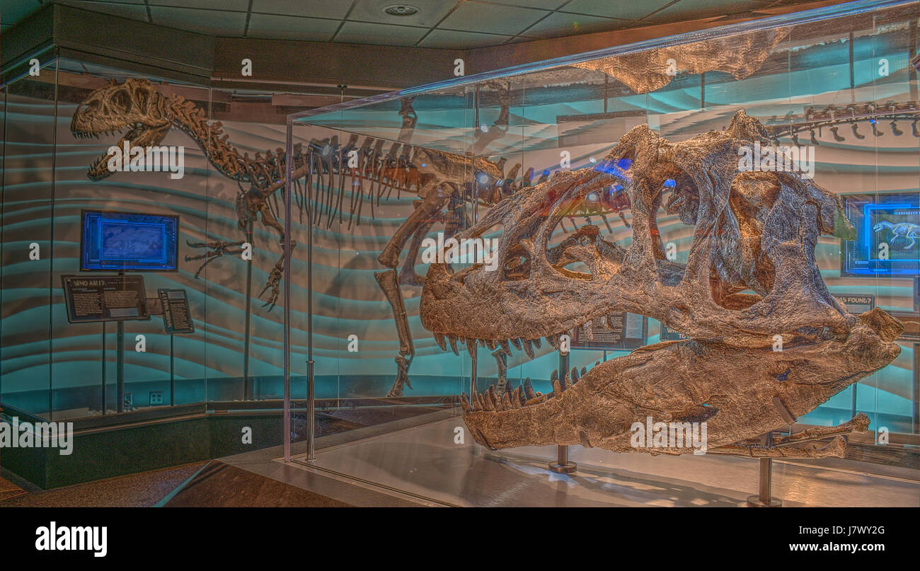 Museum earth hi-res stock photography and images - Alamy
