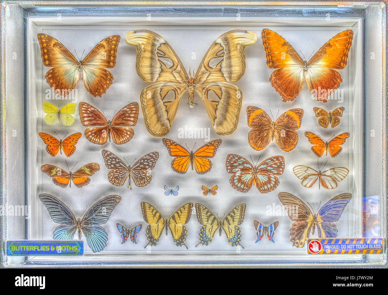 The Creation Museum, located in Petersburg, Kentucky, presents exhibits ...