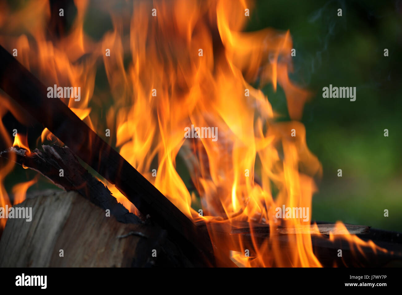 fire conflagration flame grill barbecue barbeque blaze smoke smoking ...