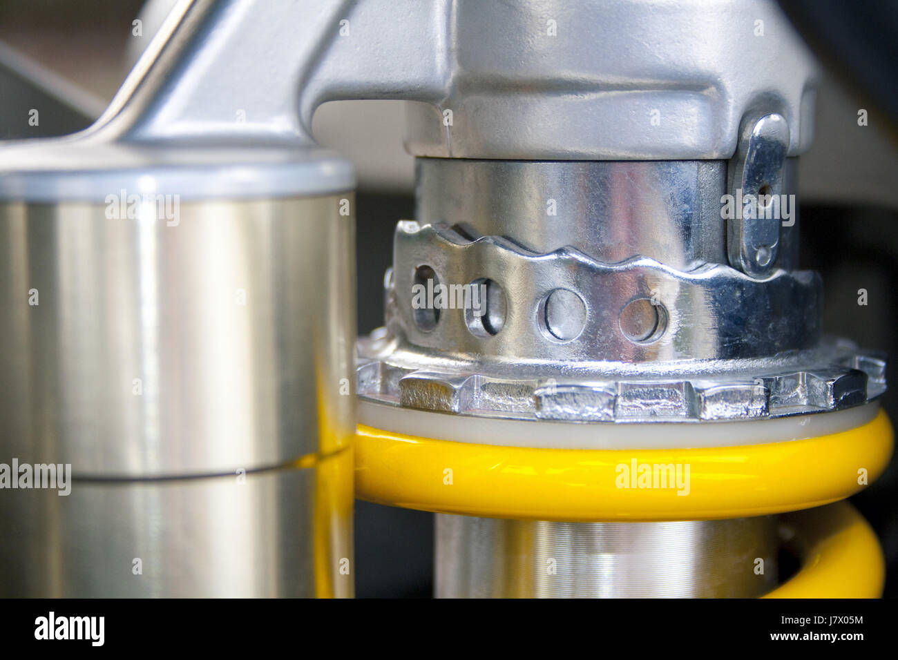 spring bouncing bounces hop skipping frisks jumping jump rider ...