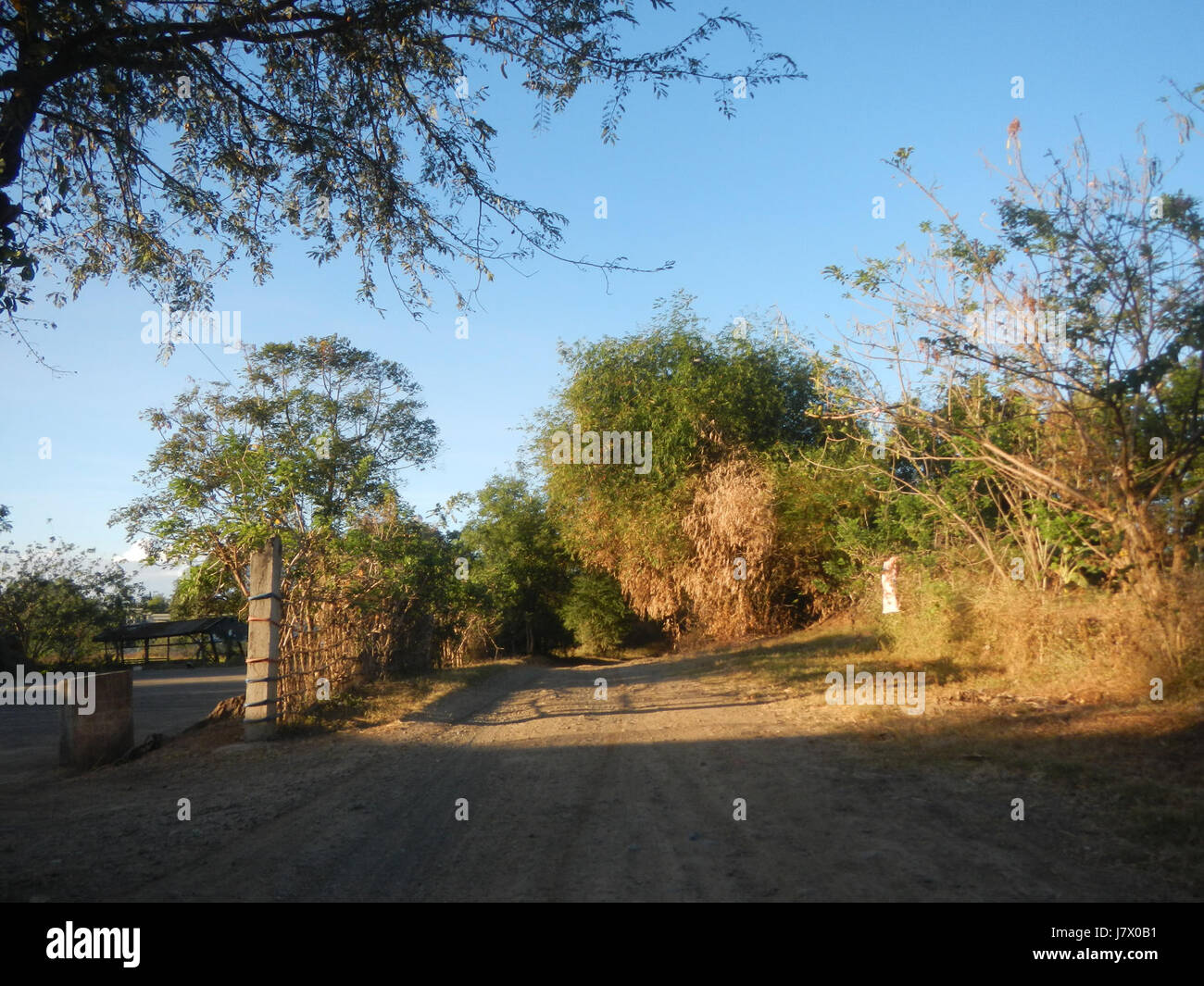 This image depicts agricultural fields in the Bulacan region, showing ...