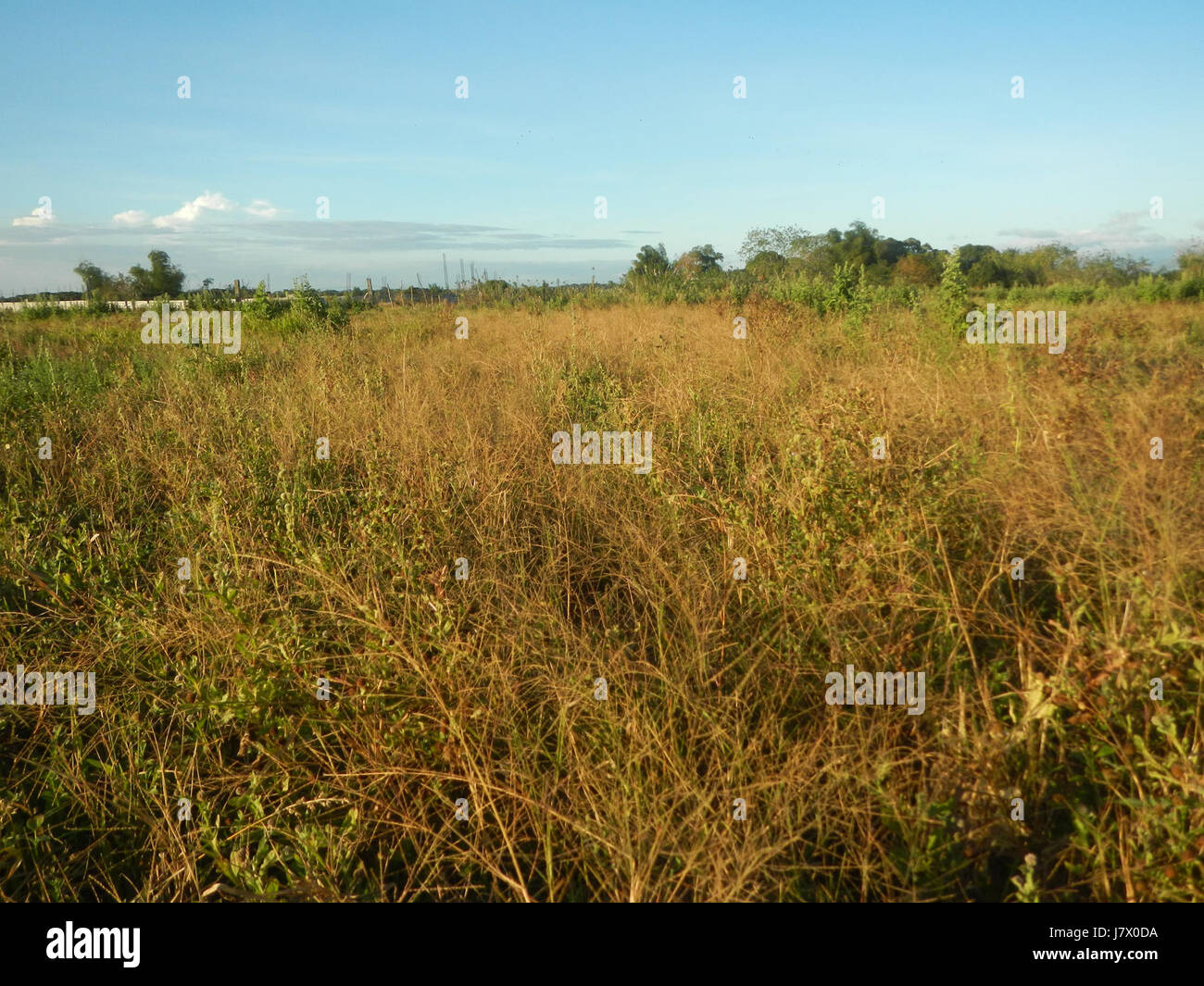 The landscape of Catacte, Malawak, Bustos, and Paltoc in Angat, Bulacan ...