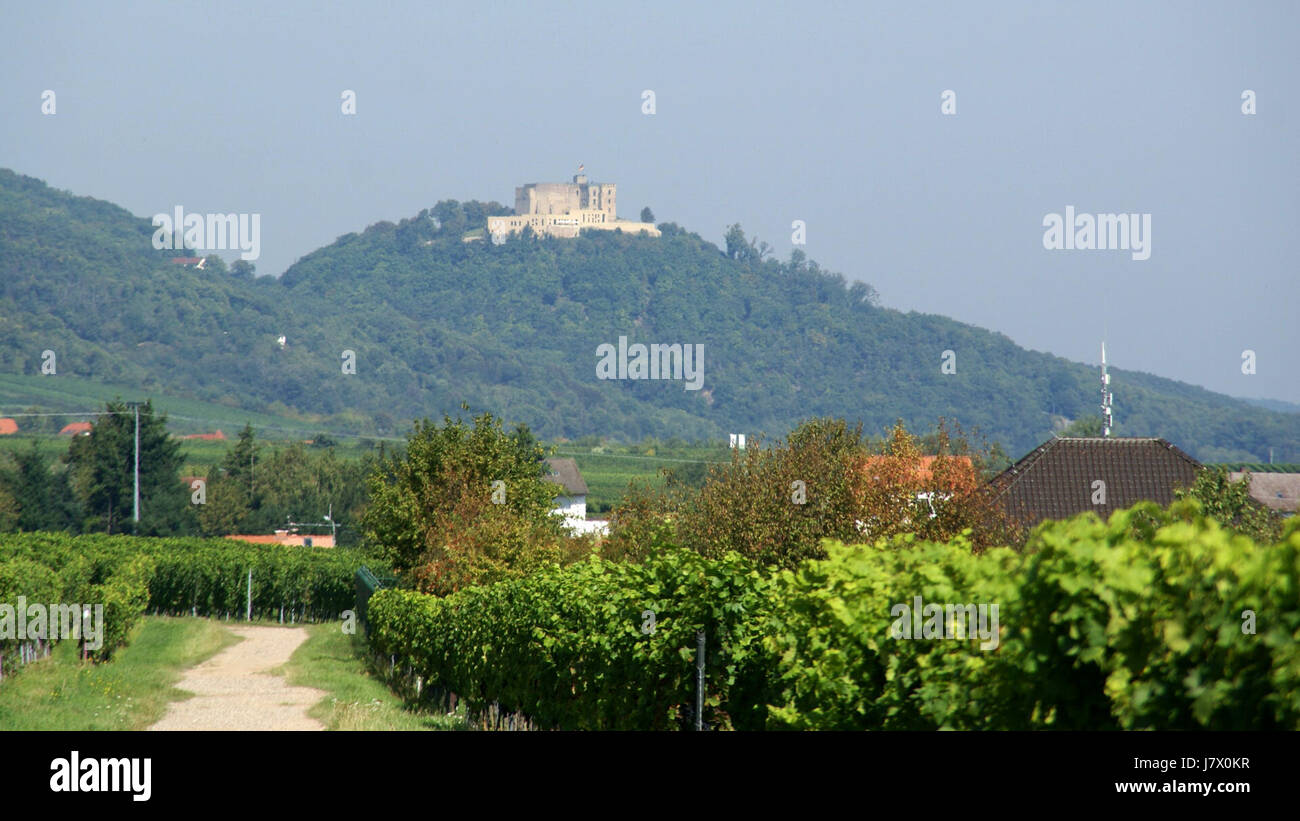 Hambacher festival hi-res stock photography and images - Alamy