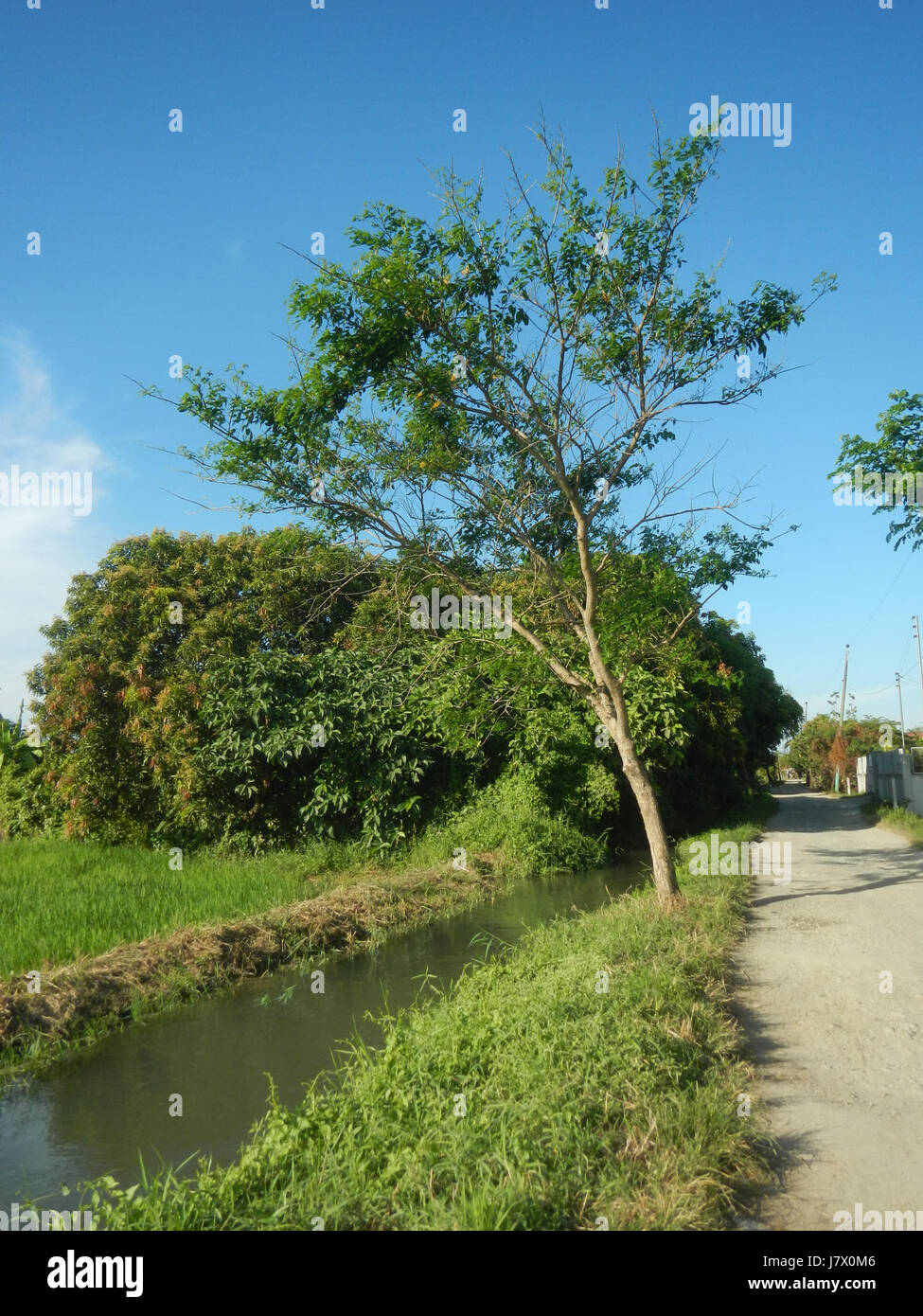 This area in Bulacan, Philippines, encompasses the Pritil paddy fields ...