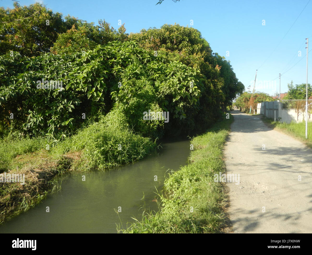 The Pritil paddy fields in Guiguinto, Bagong Silang, Plaridel, Bulacan ...