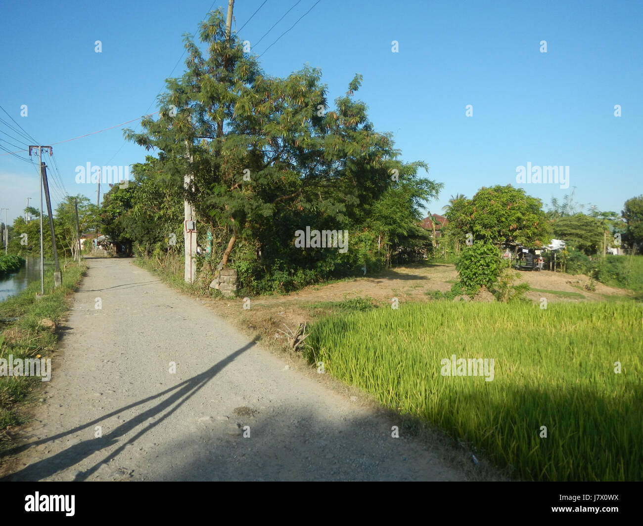 The image captures the extensive paddy fields in Bagong Silang ...