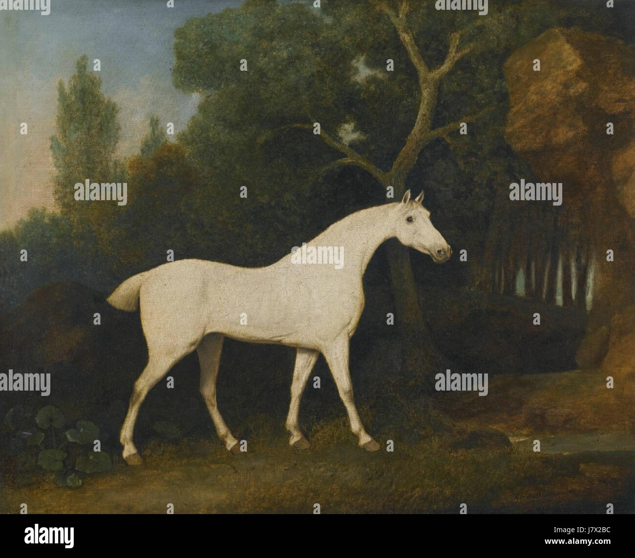 George stubbs the anatomy of a horse hi-res stock photography and ...