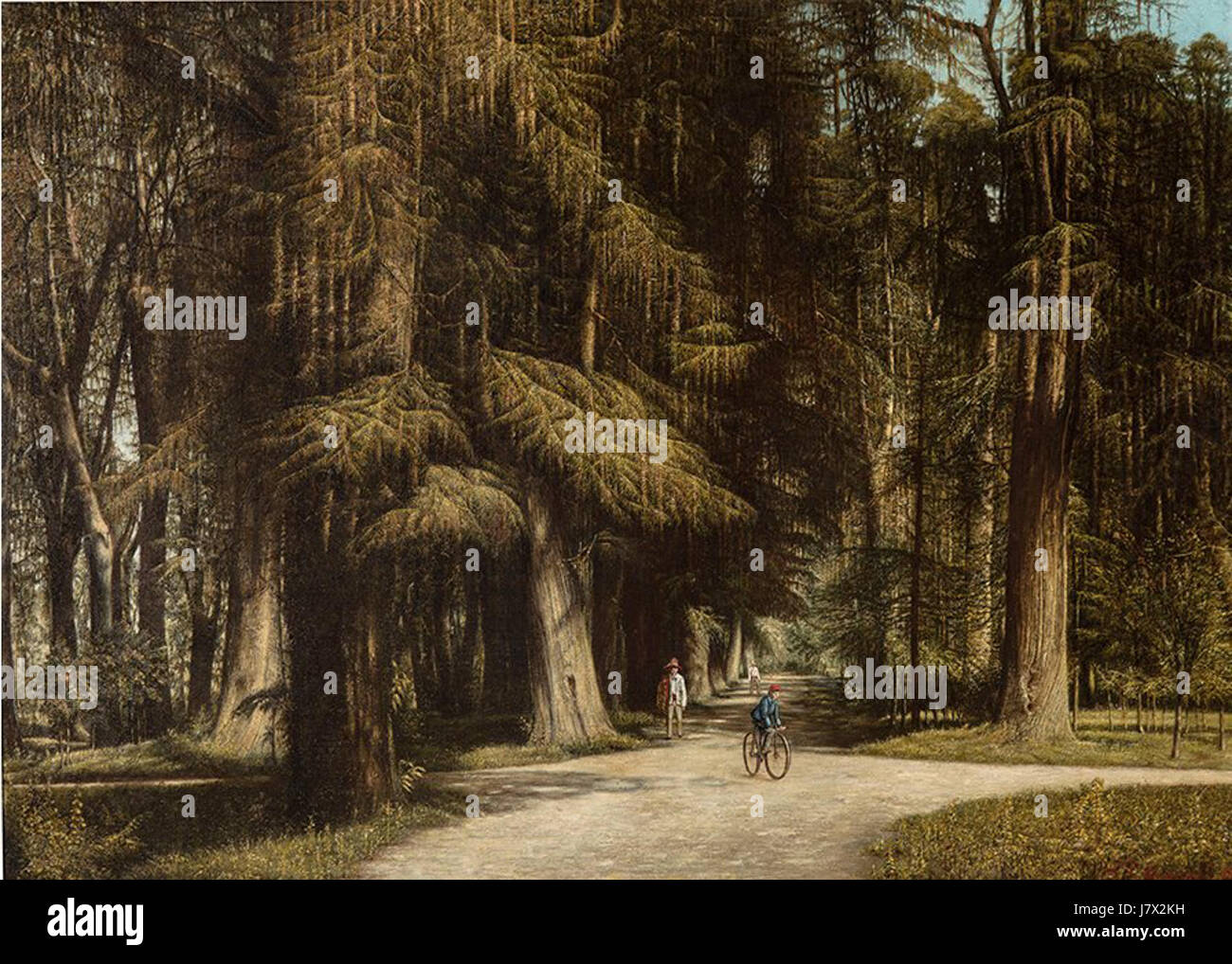 'Crossroad in the Forest' by Julius Robert Hoening Stock Photo - Alamy