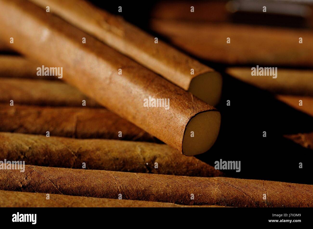 health cigarillo tobacco addiction addicted nicotine smoker whiff smoke ...