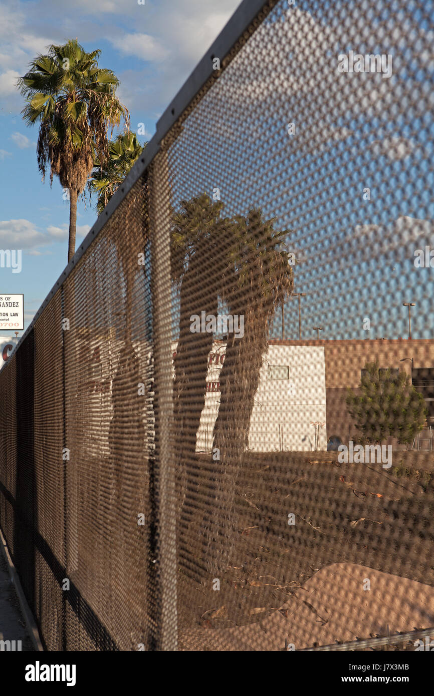 Palm trees through chain link fence in Hollywood, CA Stock Photo - Alamy