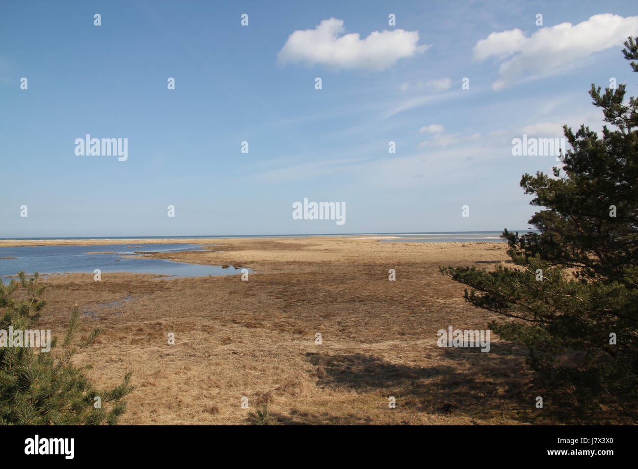 water baltic sea salt water sea ocean scenery countryside nature water ...