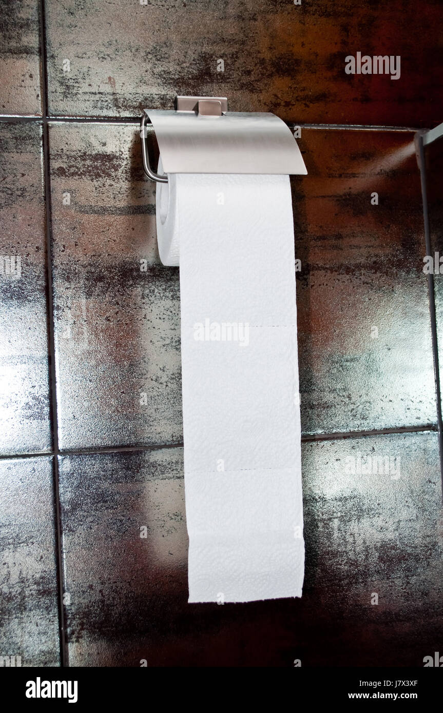 toilet sanitary hygiene clean bathroom sheet of paper paper white roll ...