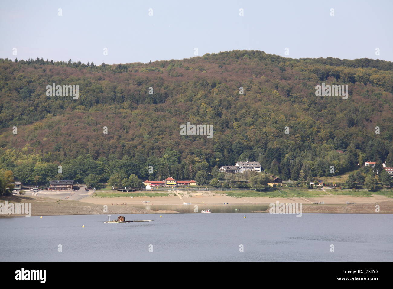 current of the river cable current conduction forest river water tree ...