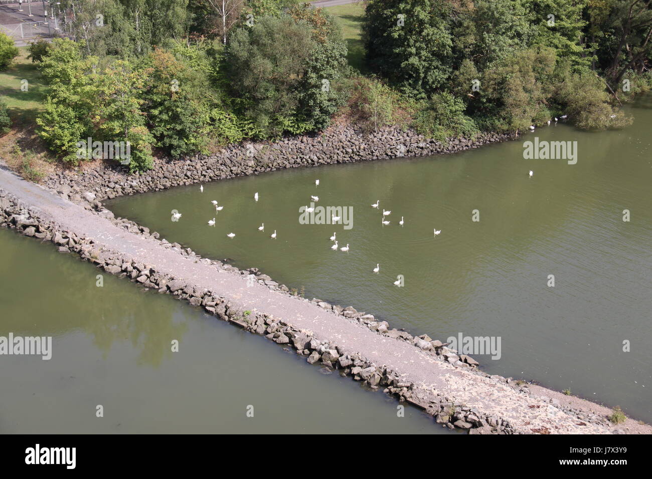 current of the river cable current conduction forest river water tree ...