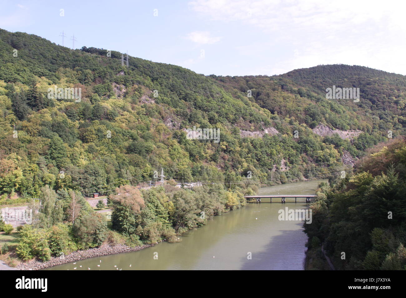 current of the river cable current conduction forest river water tree ...