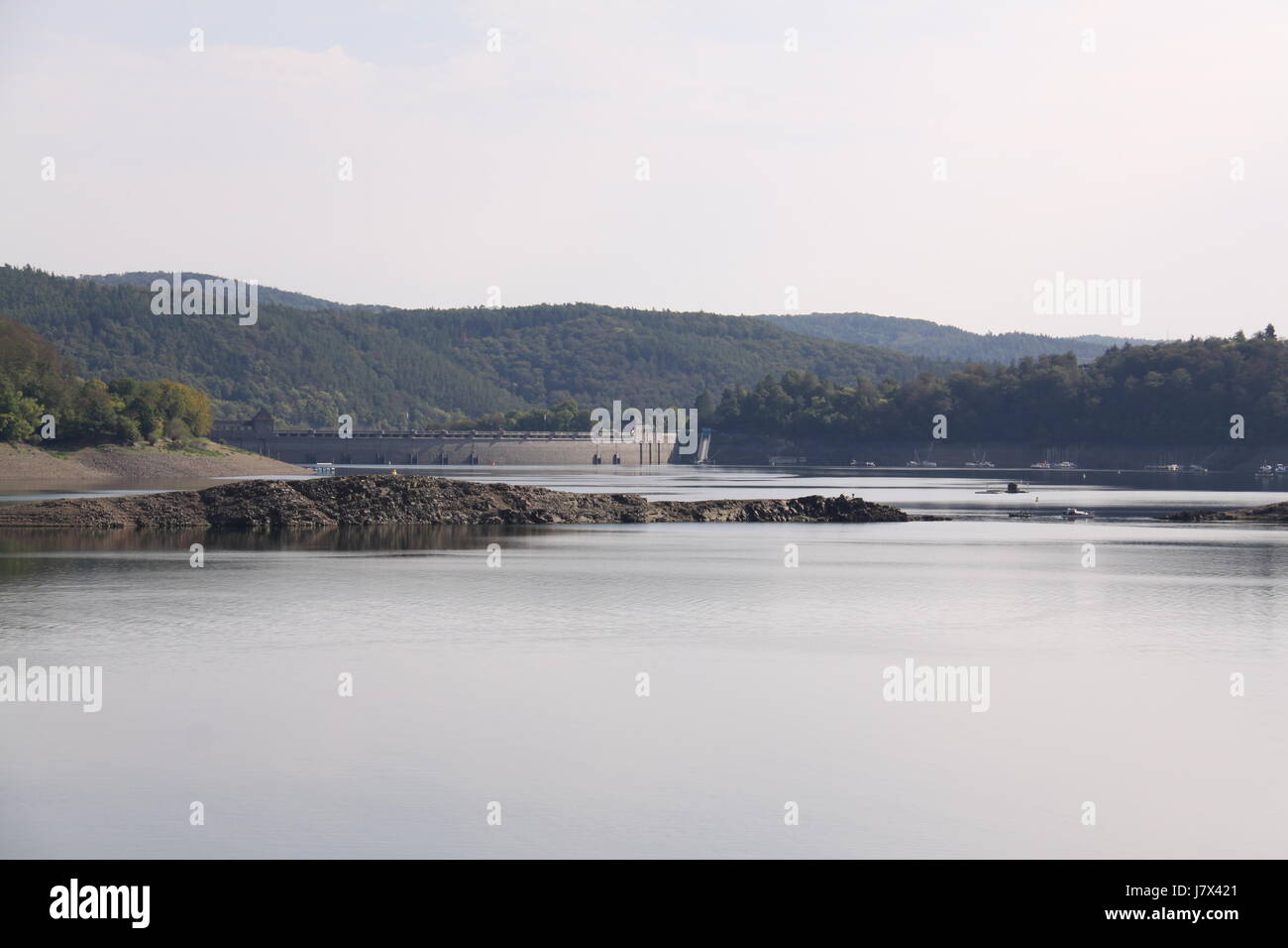 current of the river cable current conduction forest river water tree ...