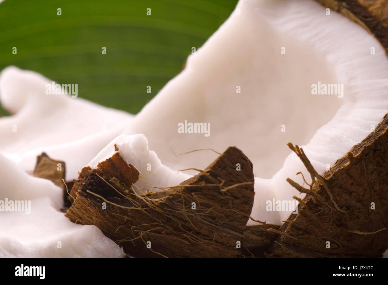 leaf fruit exotic tropical spa mineral spring medicinal spring coconut ...