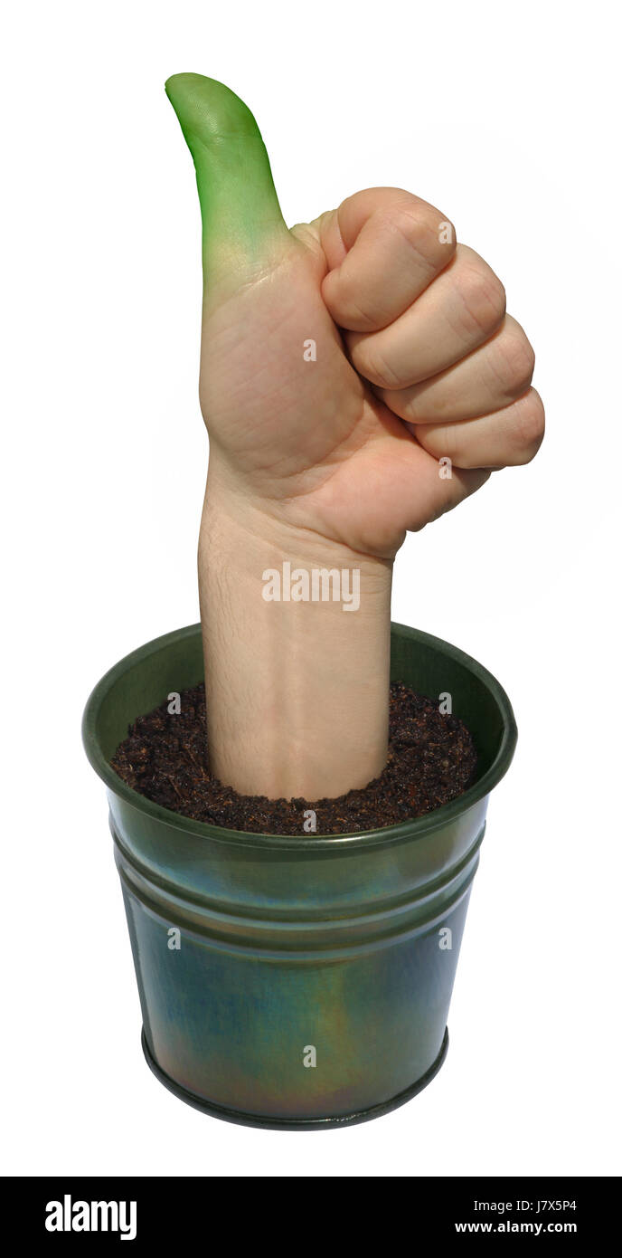 spring bouncing bounces hop skipping frisks jumping jump gardening ...