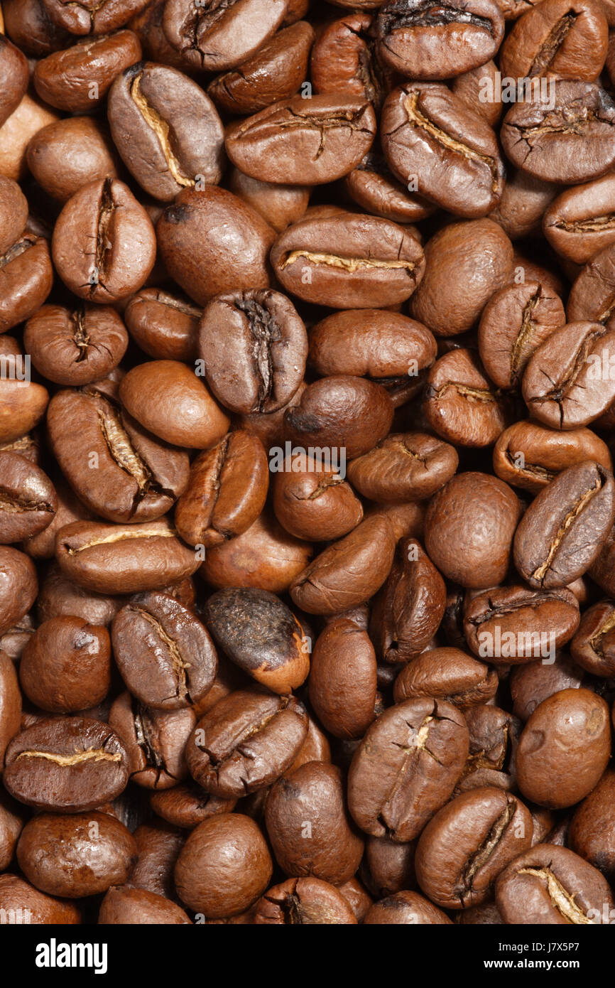 drink drinking bibs beans beverage coffee coffee bean coffee beans ...