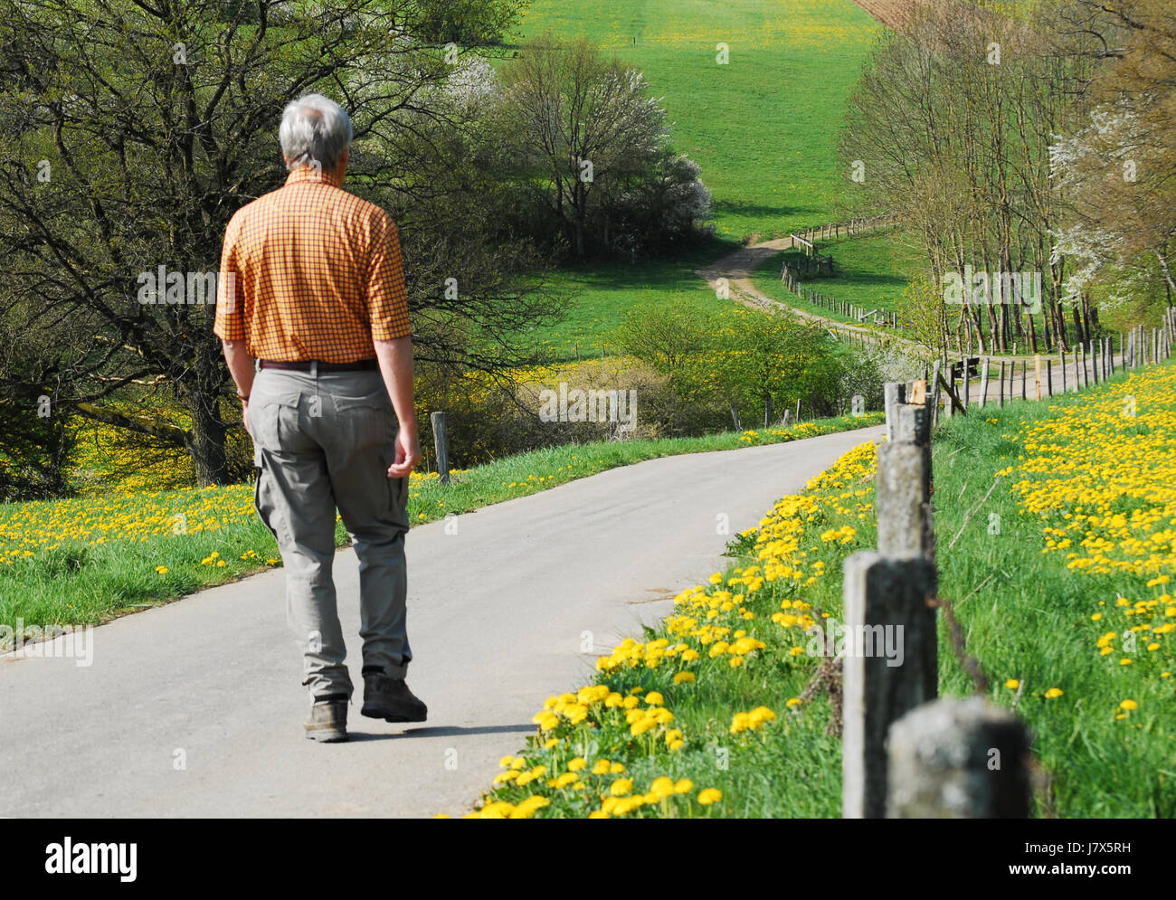 Old hunchbacked man walking hi-res stock photography and images - Alamy