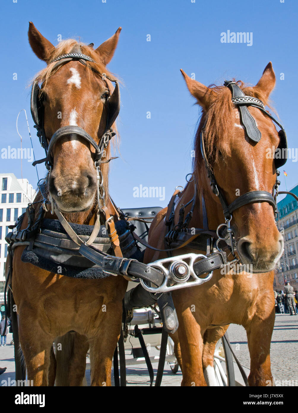 goal passage gate archgway gantry horse horses berlin coach brandenburg ...