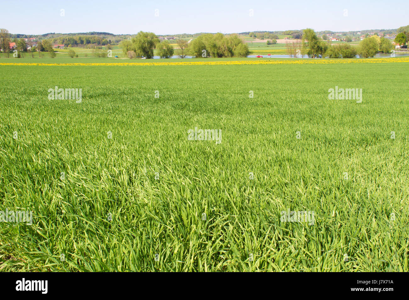 farmland in bavaria Stock Photo - Alamy