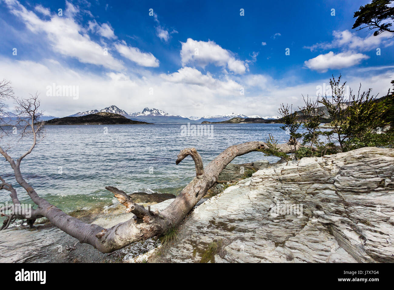 la Roca Lake in Tierra Del Fuego National Park in Argentina Stock Photo ...