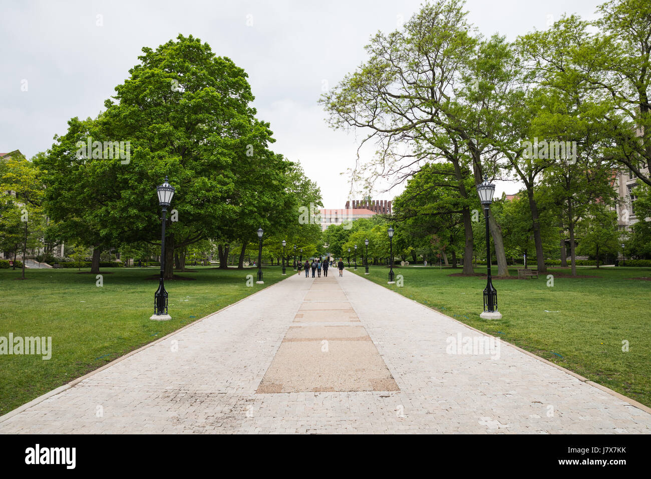 University of Chicago Stock Photo - Alamy