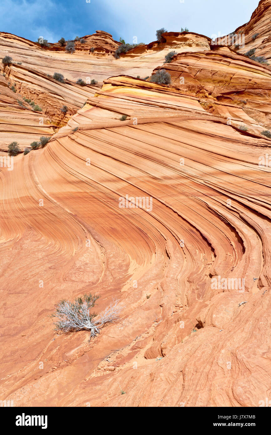 usa stone usa rock america outdoor sandstone erosion vertical arizona ...