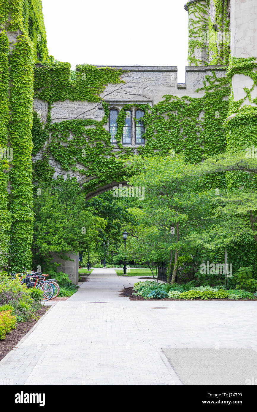 Quad at university of chicago hi-res stock photography and images - Alamy