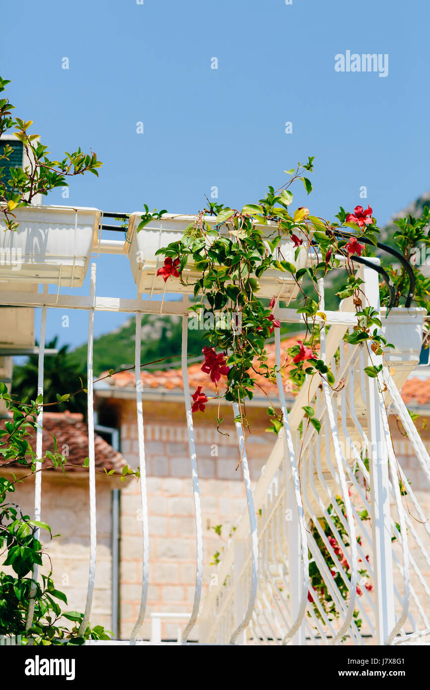 Forged balcony in an old house. Balkan architecture Stock Photo - Alamy
