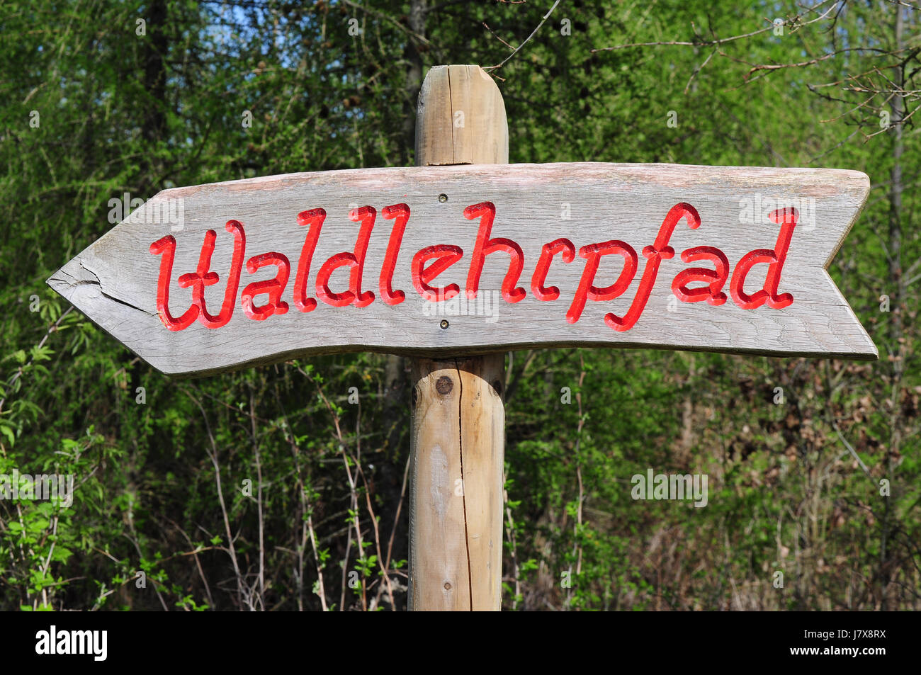 sign signal trunk hike go hiking ramble signpost migrate nature sign ...