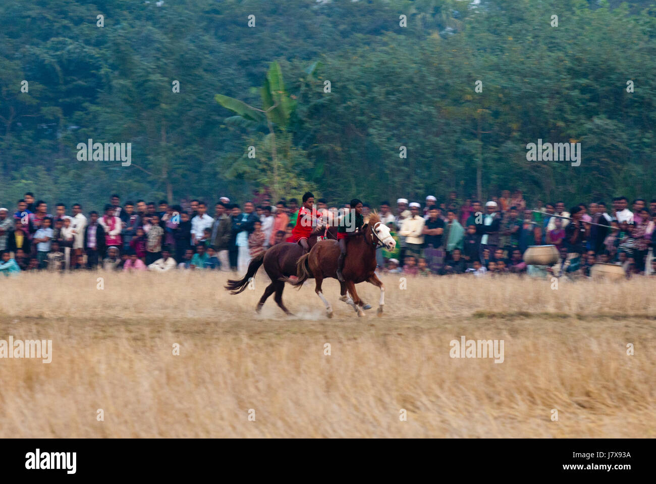 Horse racing bangladesh hi-res stock photography and images - Alamy