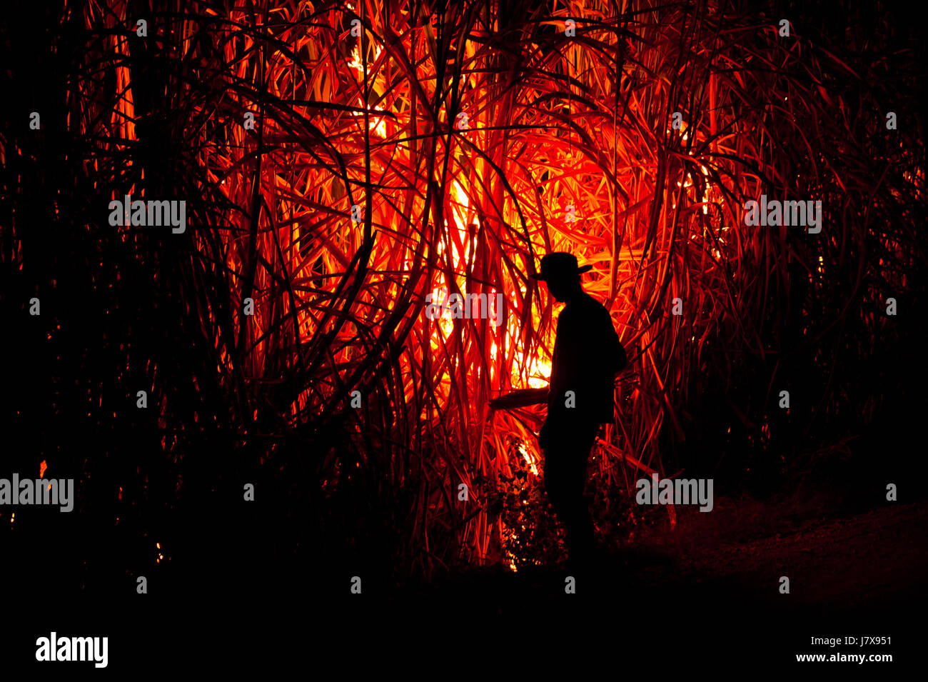 danger fire conflagration flame flames inferno smoke smoking smokes ...