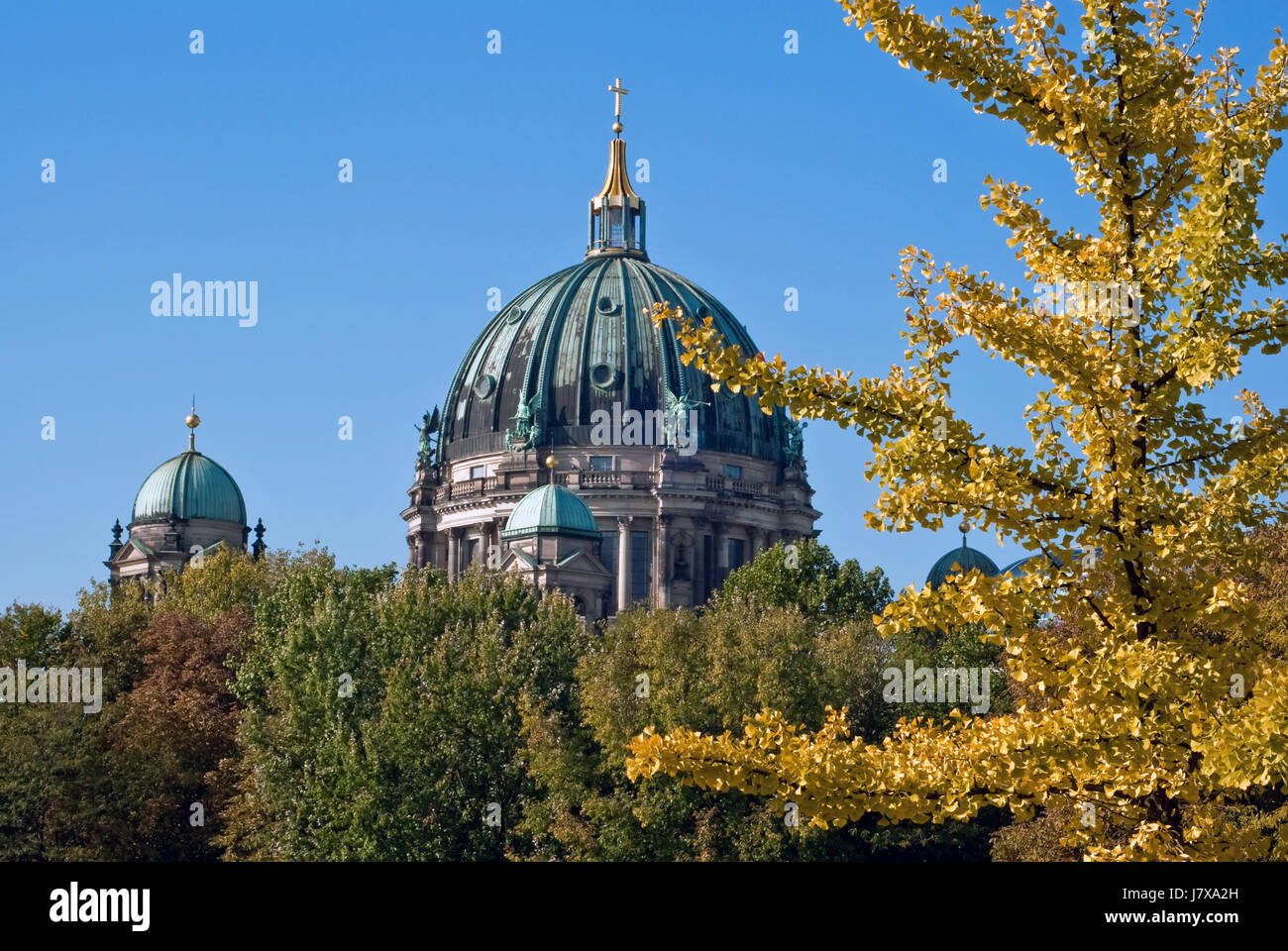 church tree trees berlin capital middle fall autumn blue historical ...